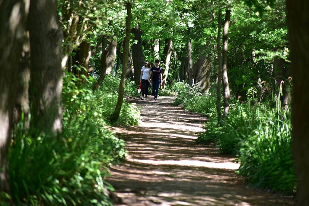 8 wonderful walks in Lincoln to try (2024 guide) - Lincoln and Beyond