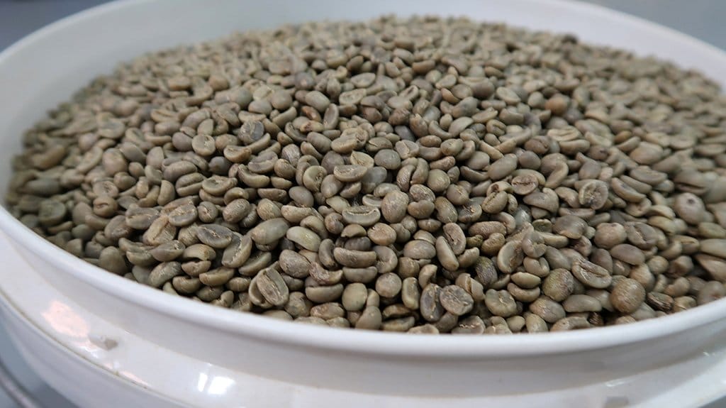 Stokes Coffee in Lincoln: from tradition to trendsetter